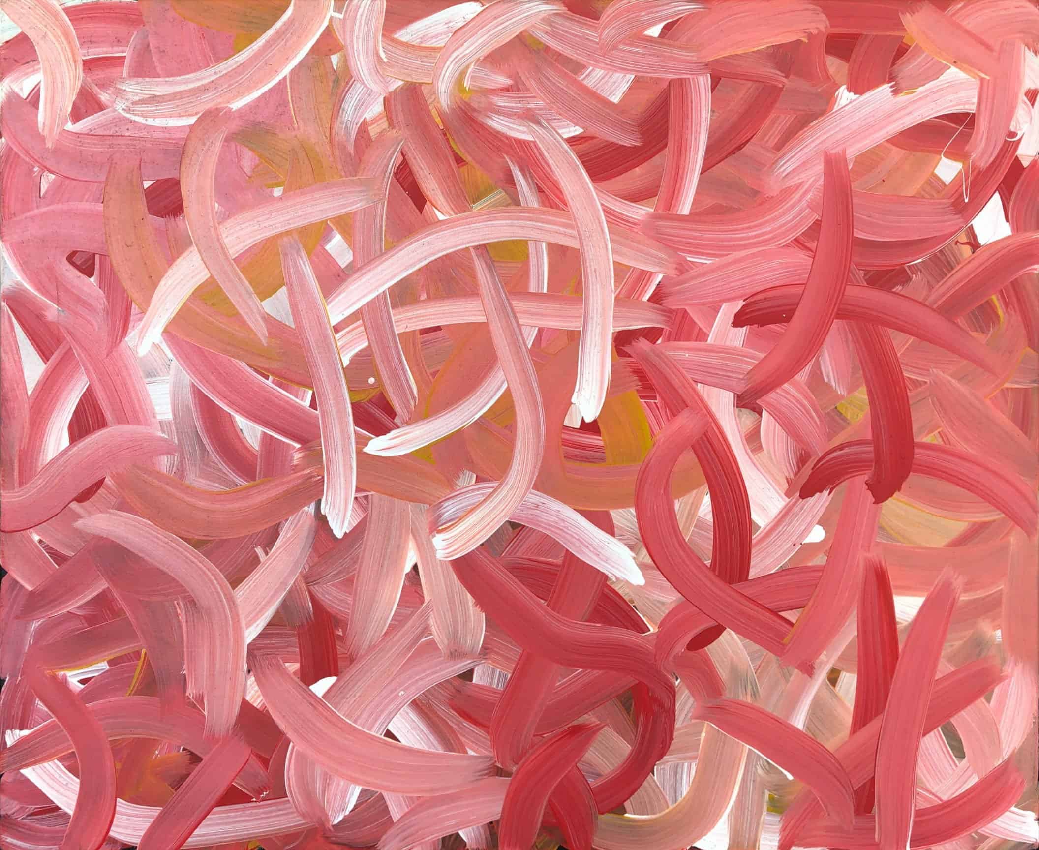 Yam Dreaming by Emily Kame Kngwarreye - Jinta Art Gallery
